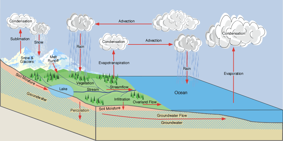 The Hydrologic Cycle